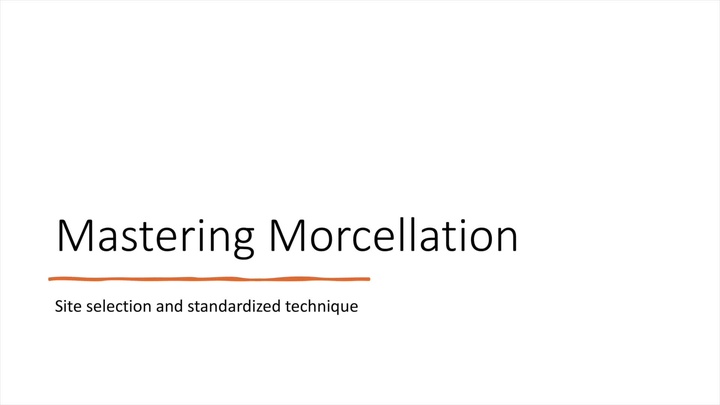 Mastering Morcellation: Site Selection and Standardized Technique ...
