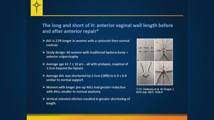 Transverse Anterior Colporrhaphy in Combination with a Percutaneous ...