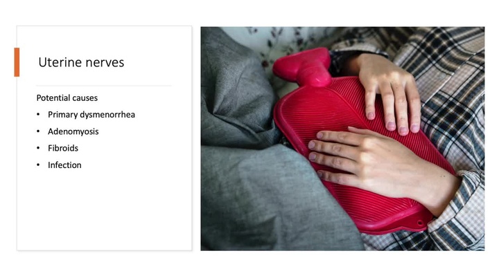 Pelvic Nerve Blocks - SurgeryU by AAGL