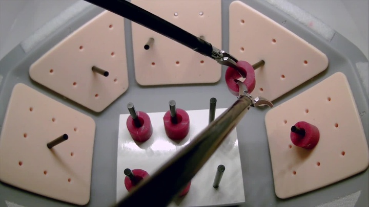 EMIGS L1 - Peg / Sleeve Transfer - Task Instructions - SurgeryU by AAGL