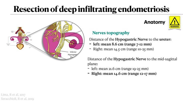 A Whole New “Endo-World” for a FMIGS: How to Start? - SurgeryU by AAGL