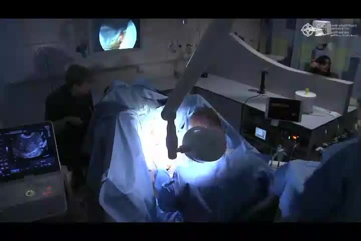 Minitouch Endometrial Ablation: An Anaesthesia Free Procedure in an Office Environment ...